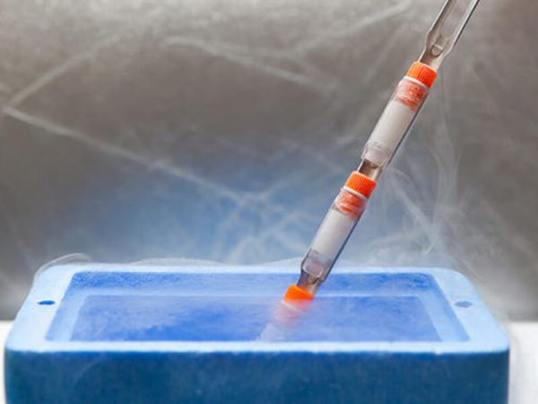 In Cold Chain Logistics Dry Ice Is One 1 Important Part - NEWTEP