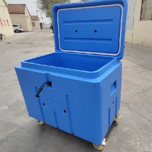 Quality 250kg Large Dry Ice Box For Storage - NEWTEP
